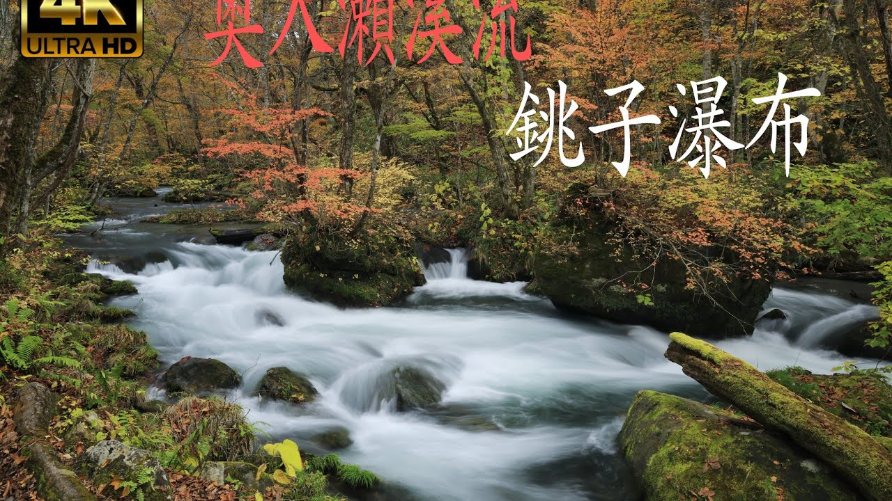 🍁奥入瀨溪流之銚子瀑布 Choshi Falls of Oirase Stream【4K】計劃了多年終於來到 - YouTube