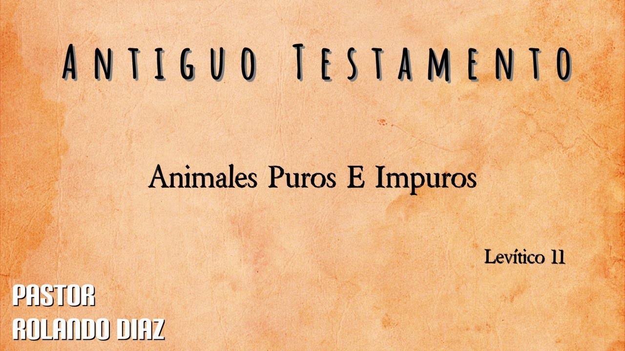 Animales Puros E Impuros - YouTube