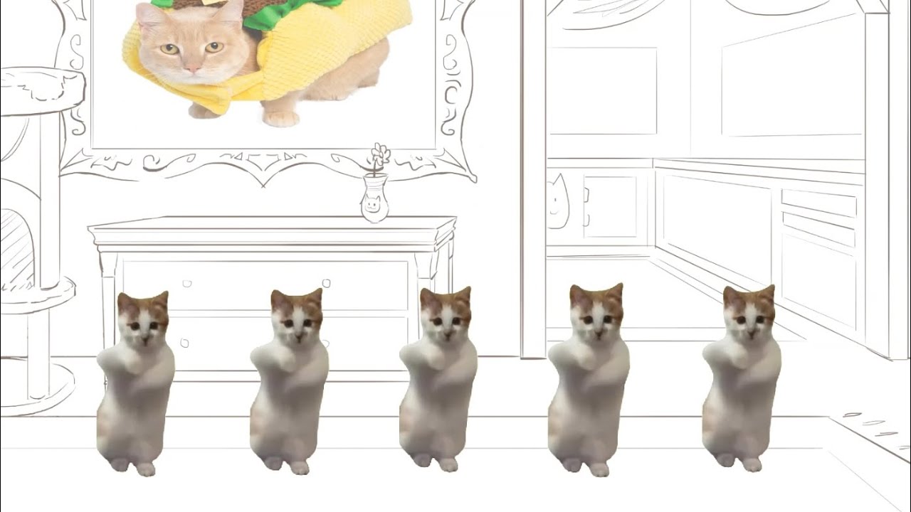Cat cafe (dnd) - YouTube
