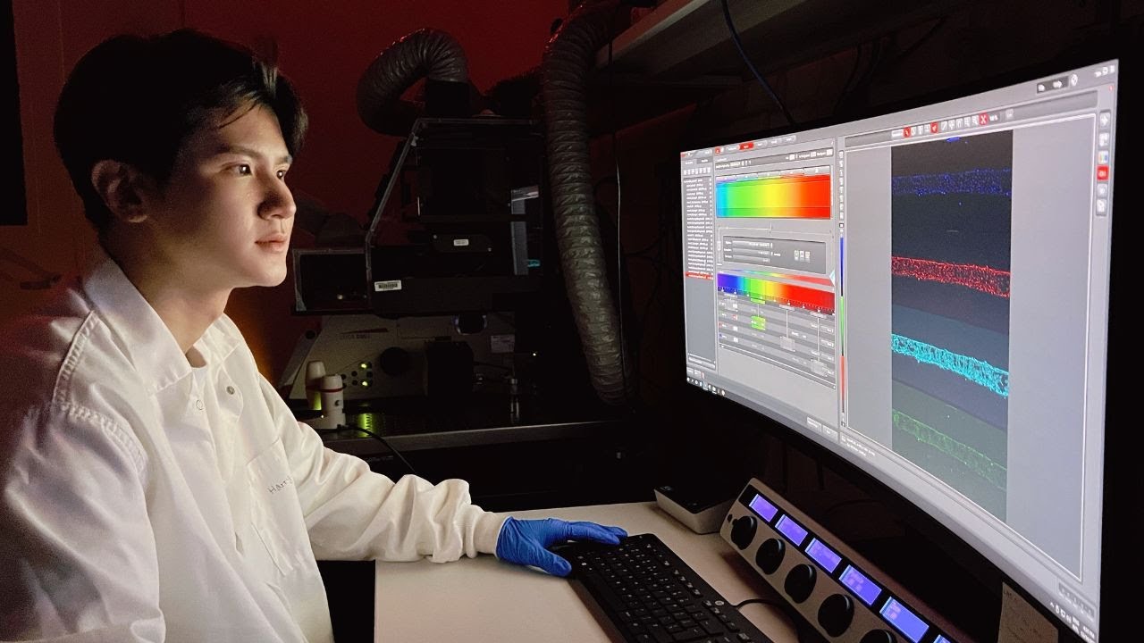 IFER Graduate Fellowship Recipient Yansong (Harry) Peng - YouTube