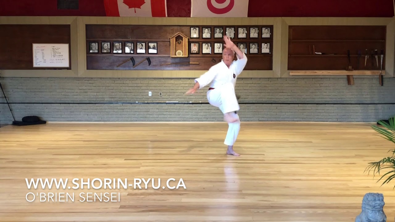 Rohai Kata - Matsubayashi-Ryu - YouTube