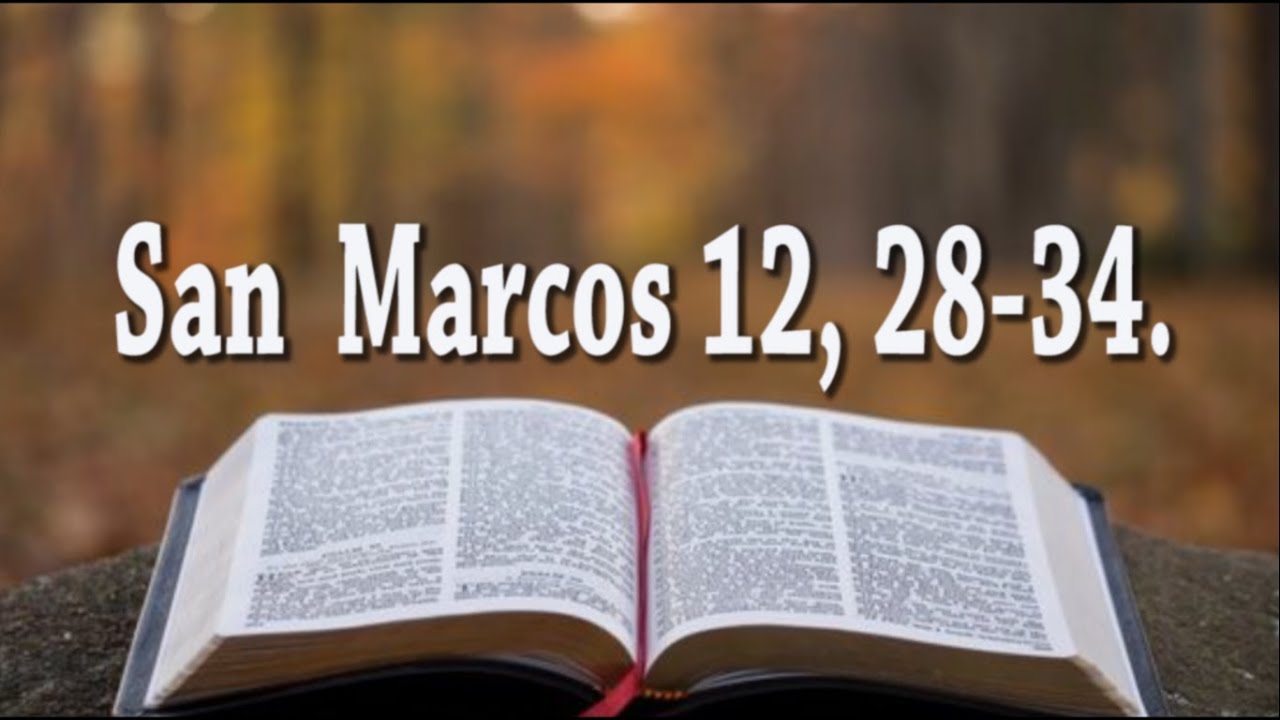 Evangelio según San Marcos 12, 28-34. (Padre Luis Zazano - Misioneros ...
