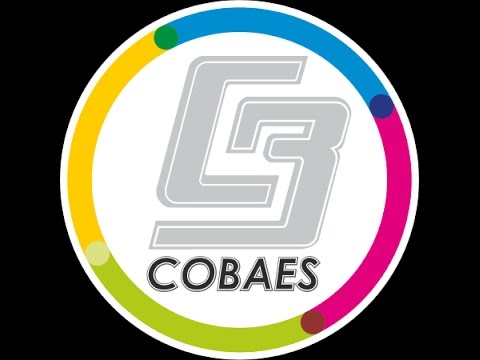 detras de camaras cobaes 39 - YouTube