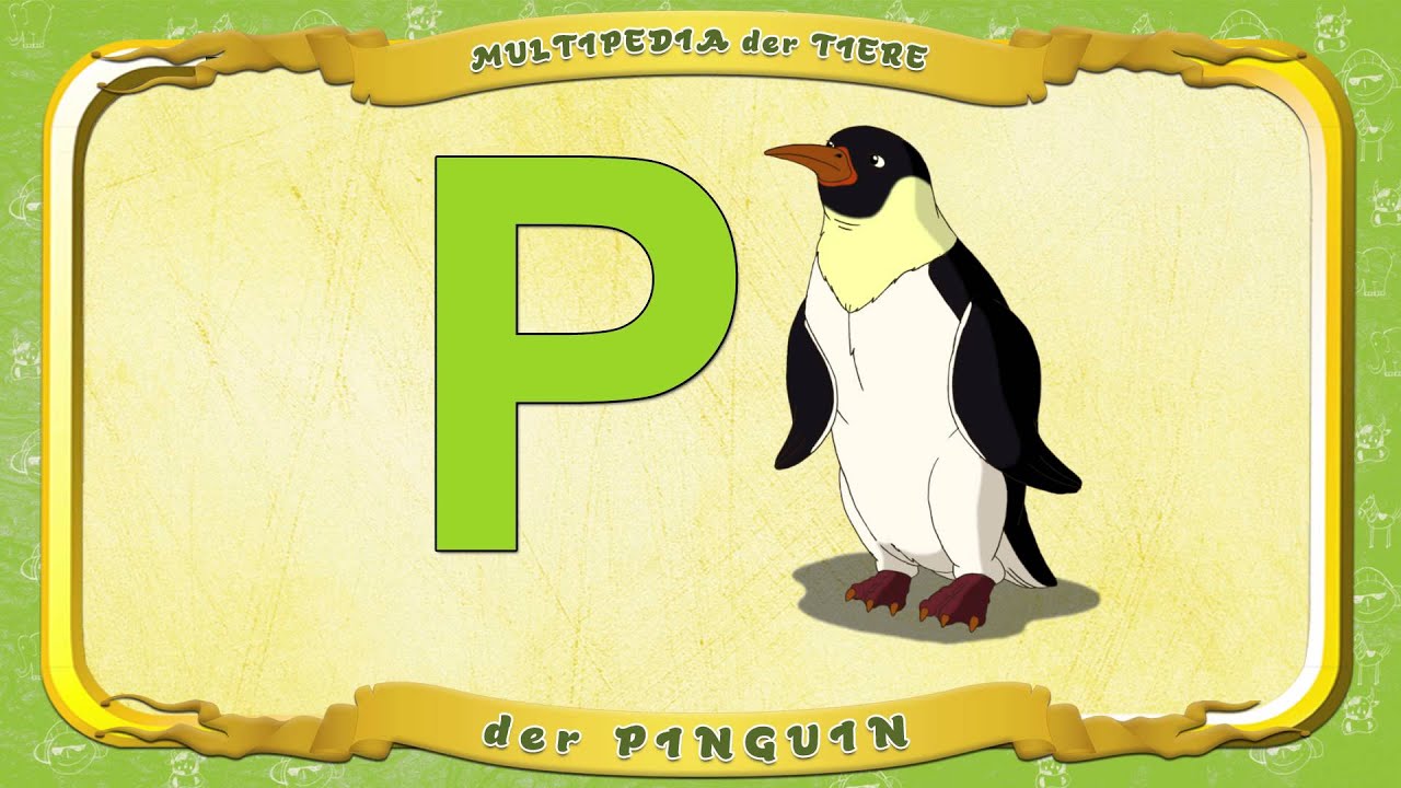 Multipedia der Tiere - Buchstabe P - der Pinguin - YouTube