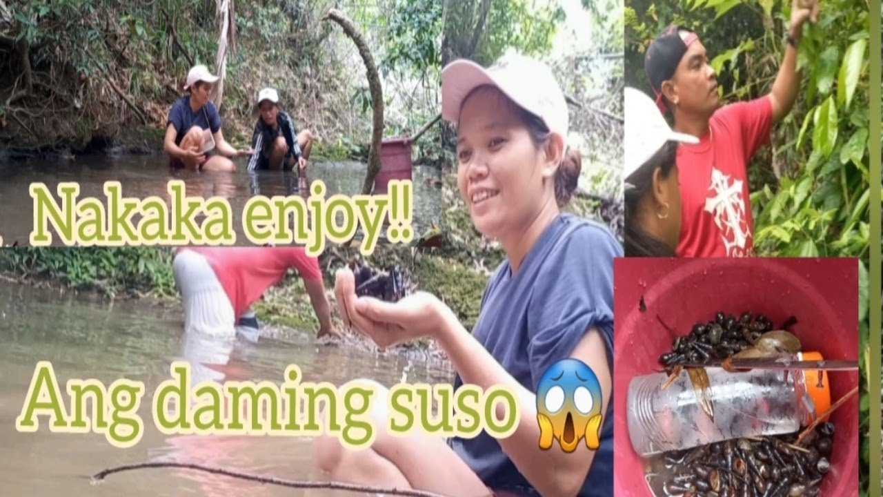 Nanguha kami ng suso + bago leaves sa gubat - YouTube