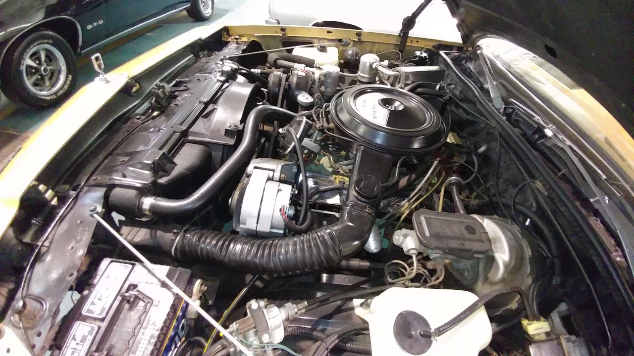 Black & Gold W-30 1980 Oldsmobile Cutlass 442 Engine Operation - YouTube