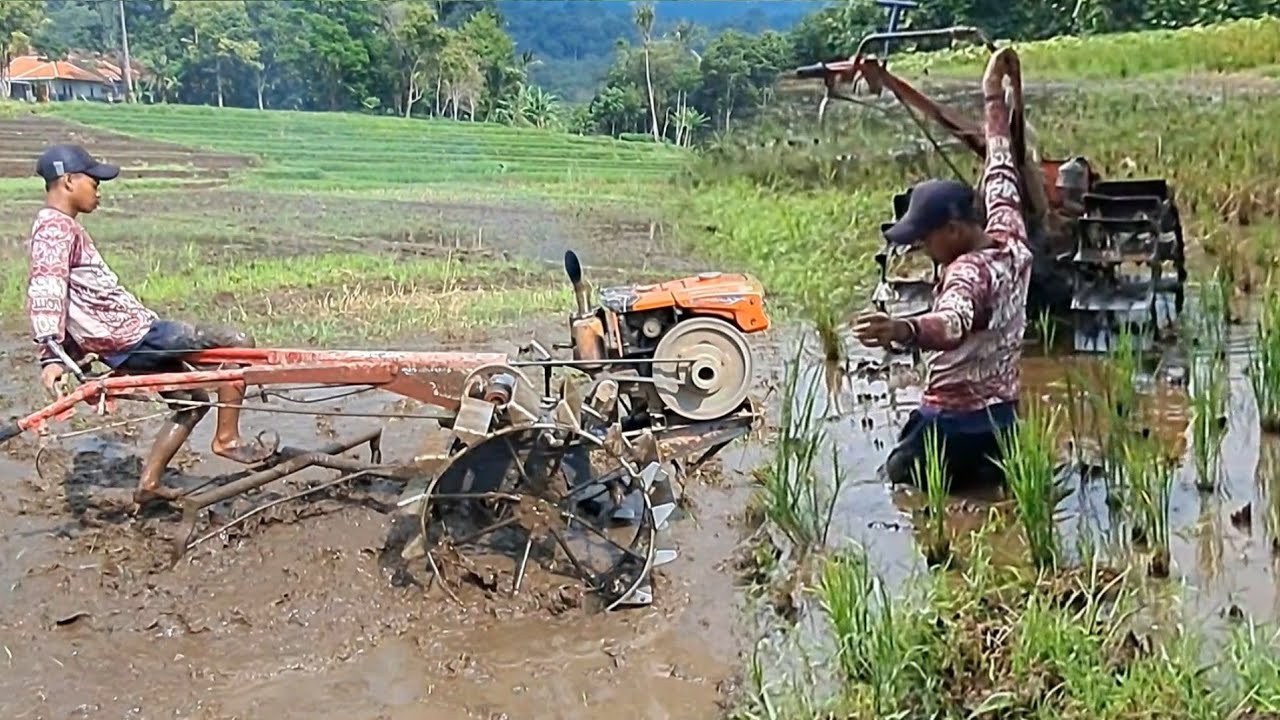 Traktor sawah memakai gelebeg singkal saat menghancurkan tanah. - YouTube