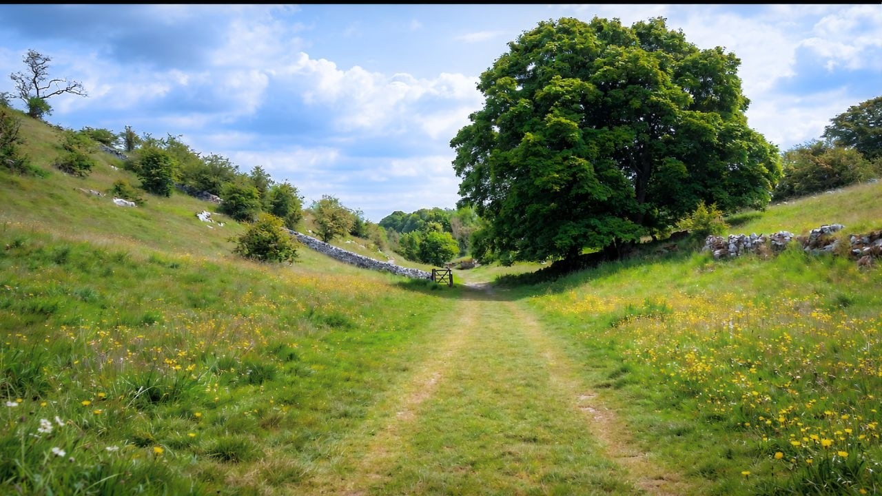 Lathkill Dale Valley Walk, English Countryside 4K - YouTube