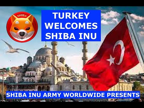 TURKEY IS WELCOMING SHIBA INU - YouTube