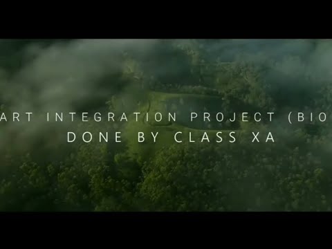 Bio Art integrated Project - YouTube
