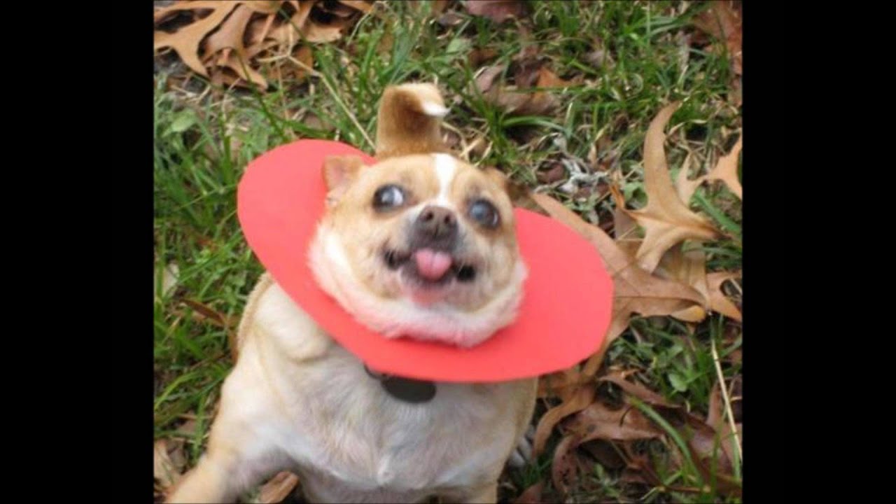 the reason why bob bryar left mcr - YouTube