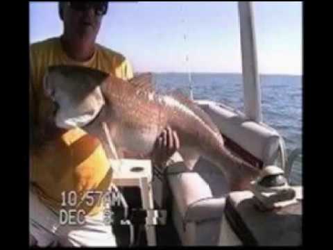 Joe Kowalczyk Fishing Cape Coral Fl world record gafftopsail catfish ...