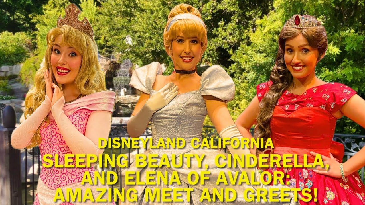 Cinderella, Sleeping Beauty & Elena of Avalor: AMAZING Meet and Greets ...
