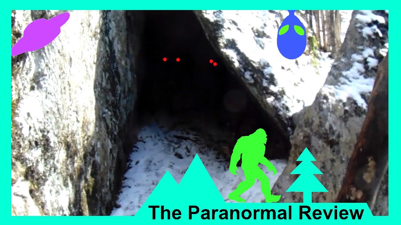 Bigfoot Nest in Winter 3 17 cave floor lined w/ elm bark Breakdown in ...