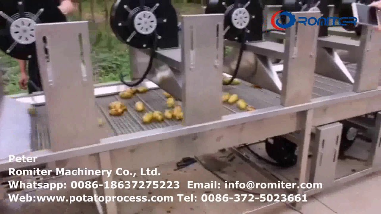 Automatic Potato Washing Cleaning Machine for Supermarket Supply - YouTube
