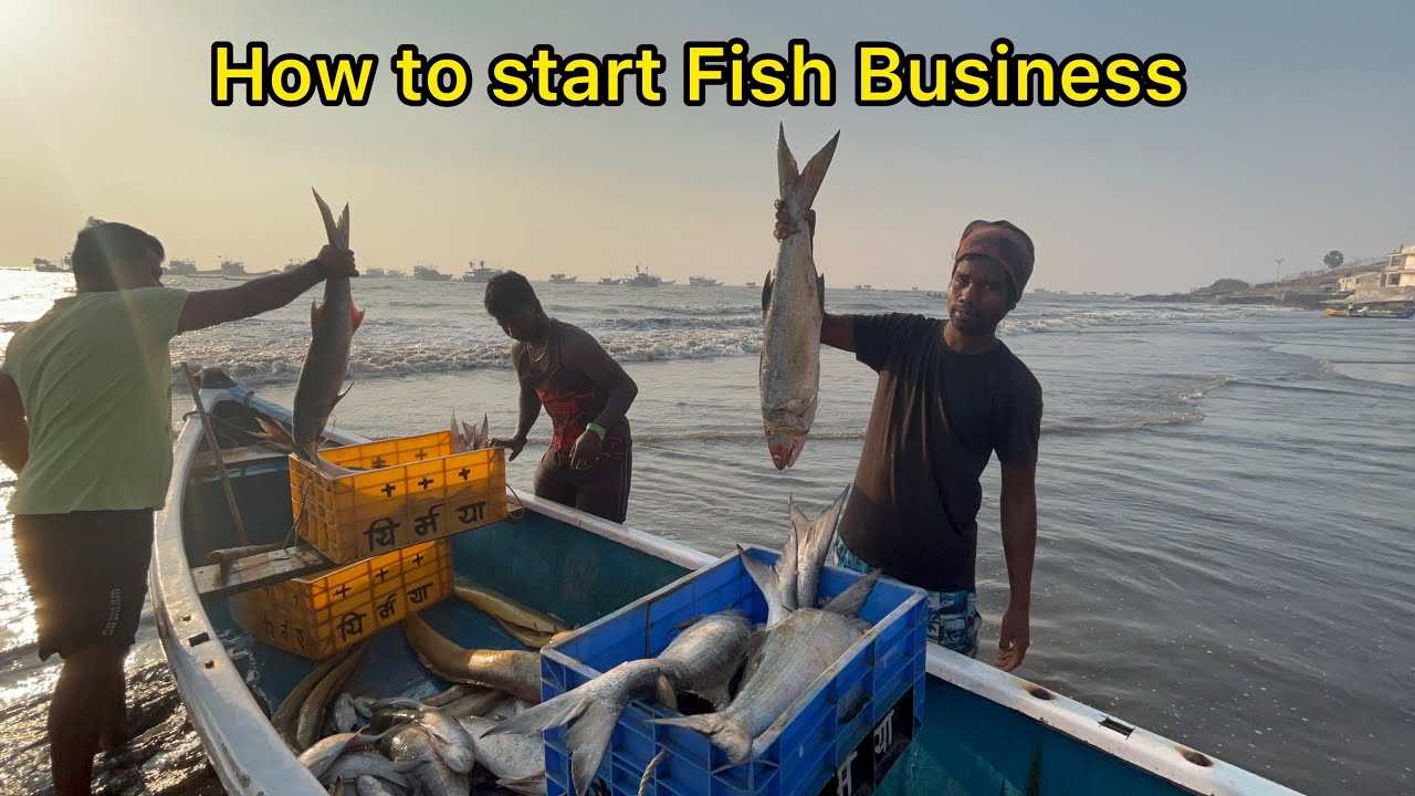 How to start Fish Business | Wholesale Fish Market | Mumbai Fish Market ...