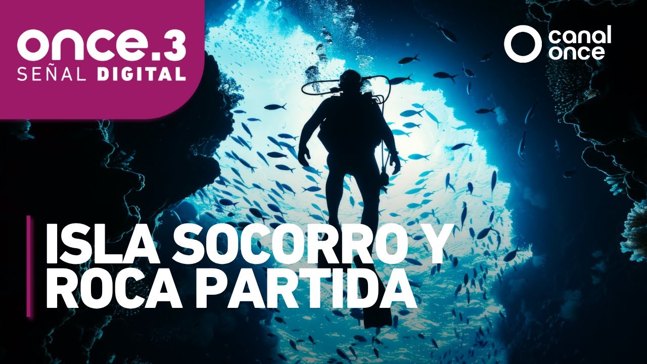 Islas de México - Isla Socorro y Roca partida - YouTube