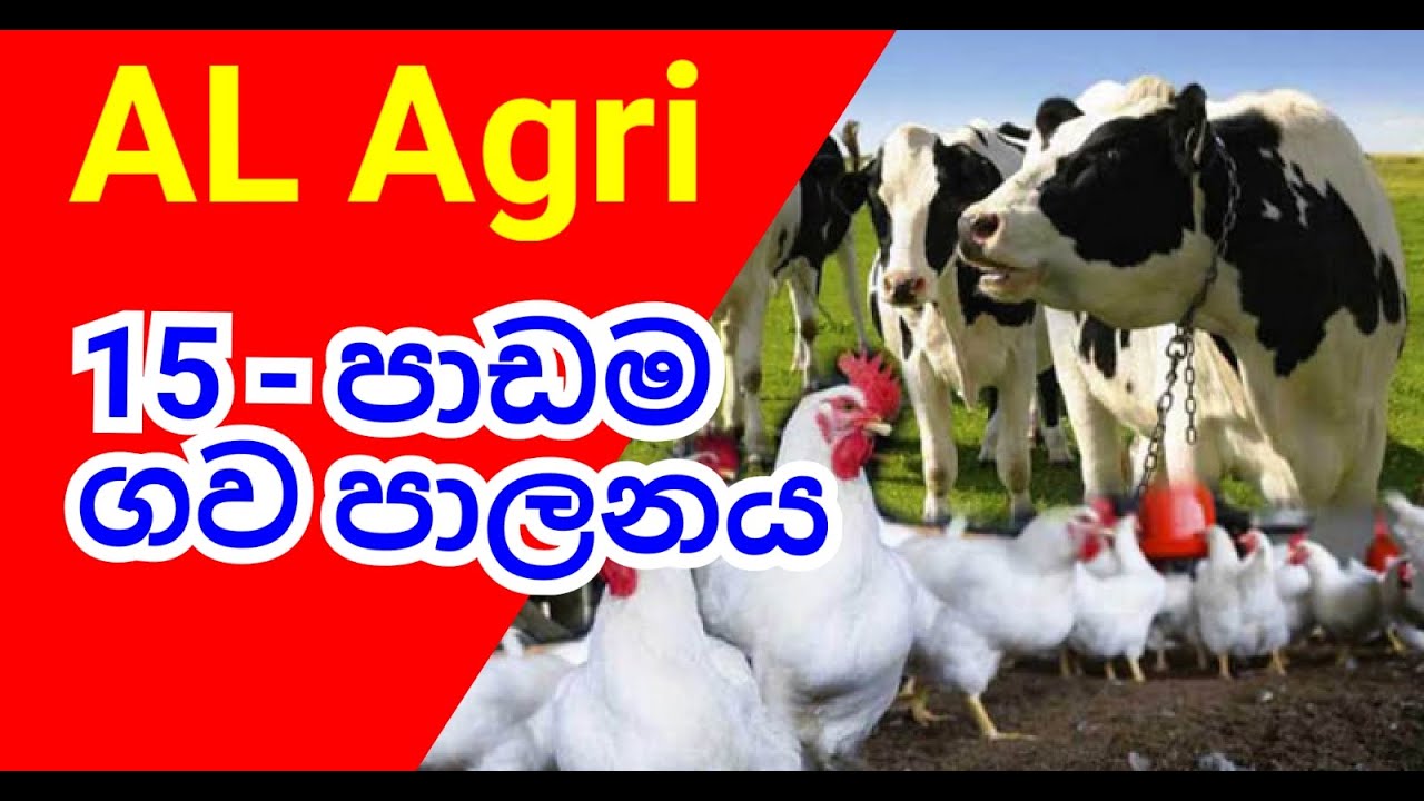 Agri Science - animal husbandry AL 15 Lesson - YouTube