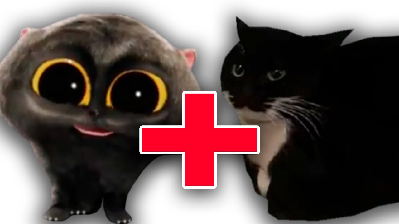 KITTEH KITTEH Scatman cat but it's vocoded to Maxwell the cat theme ...