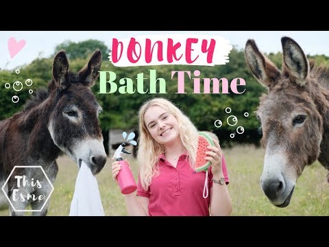 Hora del baño de los burros | Limpieza de primavera | Publicidad | This Esme