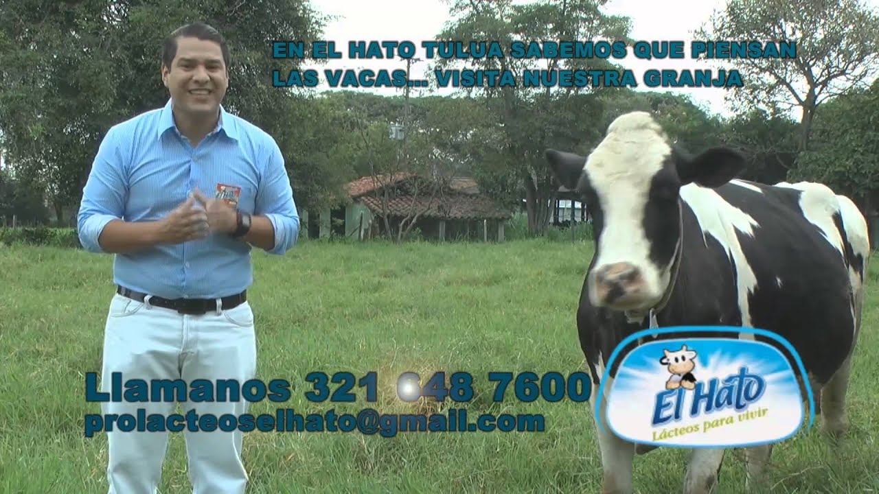 El Hato Comercial - YouTube