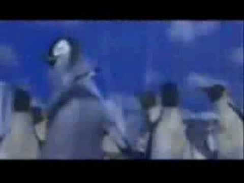 atım arap (komik klip)