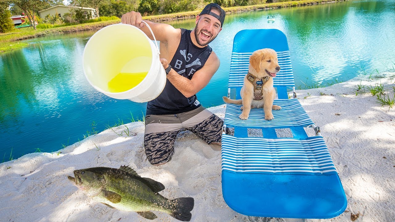 Training Giant 12lb PET Bass With Hookless TopWater Lures!! (Massive ...