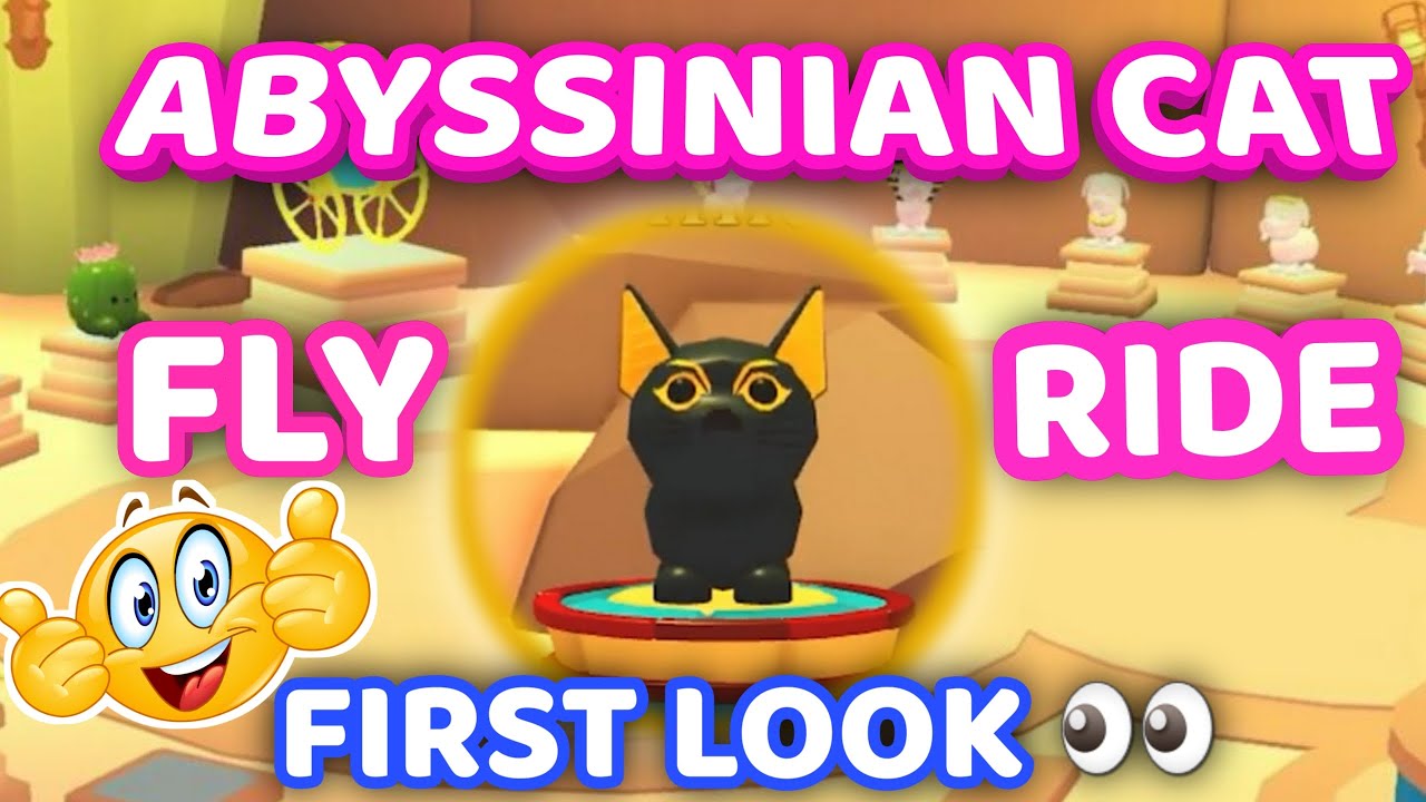 FREE Abyssinian Cat GIVEAWAY | First Look at Fly Ride in Adopt me! # ...