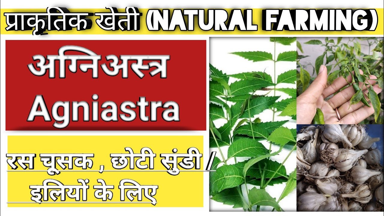 अग्निअस्त्र कैसे बनाएं ? | Agniastra Preparation | Subhash Palekar Zero ...