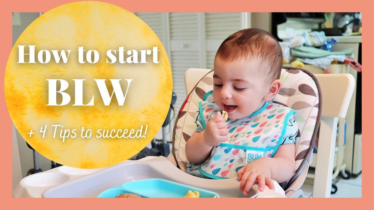How to Start BLW + 4 Tips to Succeed - YouTube