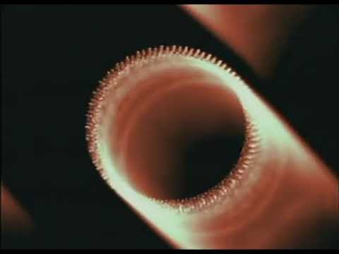 ST16 - Cubs (SS-1) at Angels - Friday, March 13, 2009 - 3:05pm CDT - KLAA Radio 830