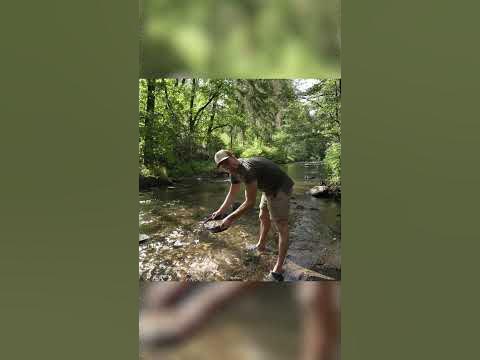 Jeder kann Gold finden - Abenteuer Goldwaschen! - YouTube