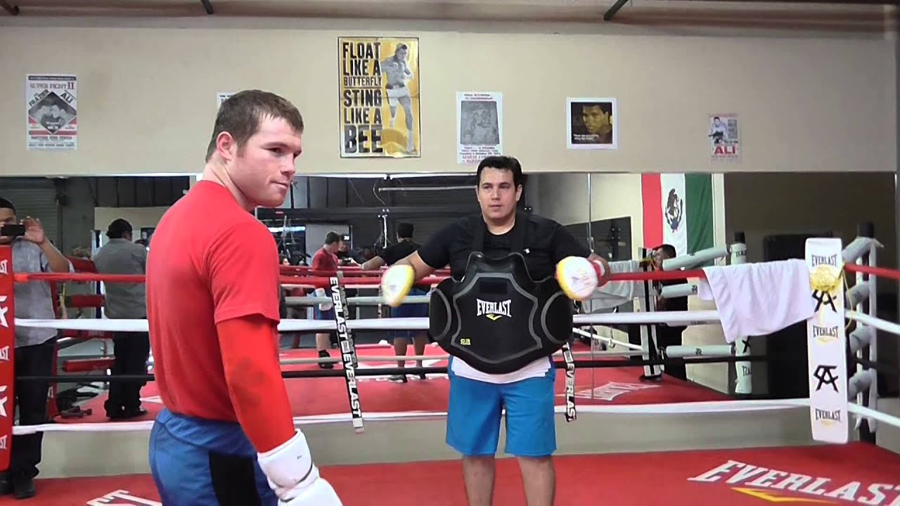 Damn!!!! Canelo Impressive Body Shots Going For The KO! vs Cotto EsNews ...