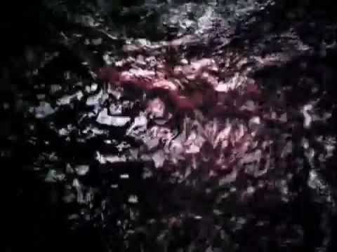 The Ring: Cursed video tape - YouTube