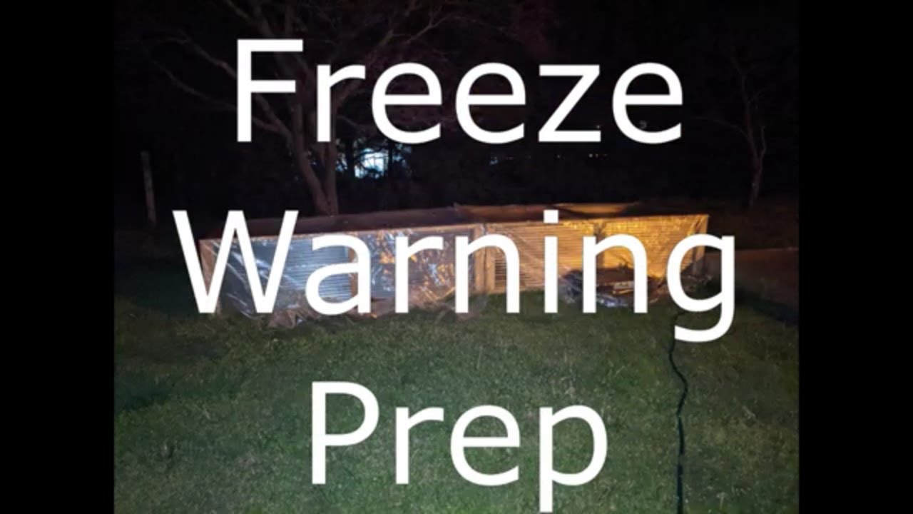 April Freeze Warning #WinterIsNotOverYet - YouTube