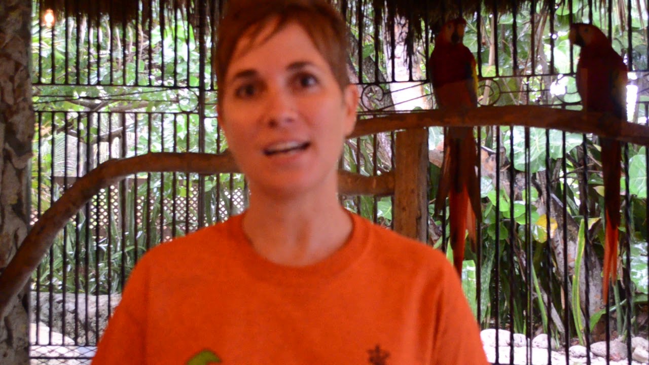 Matthew's University School of Veterinary Medicine graduate Maria ...