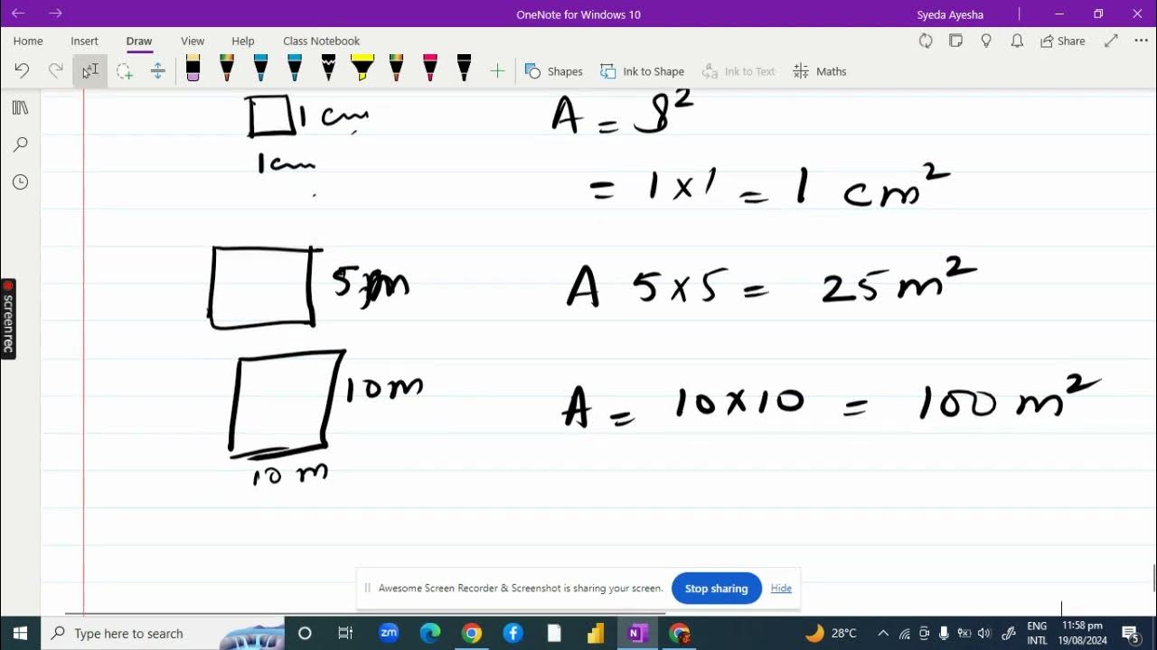 Area of basic shapes: Rectangle, Square and Triangle - YouTube