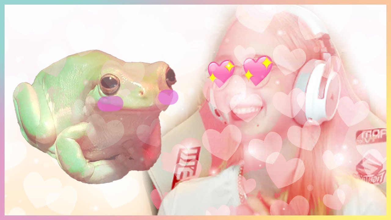 Frog loving streamer sees a frog (Just Chatting) - YouTube