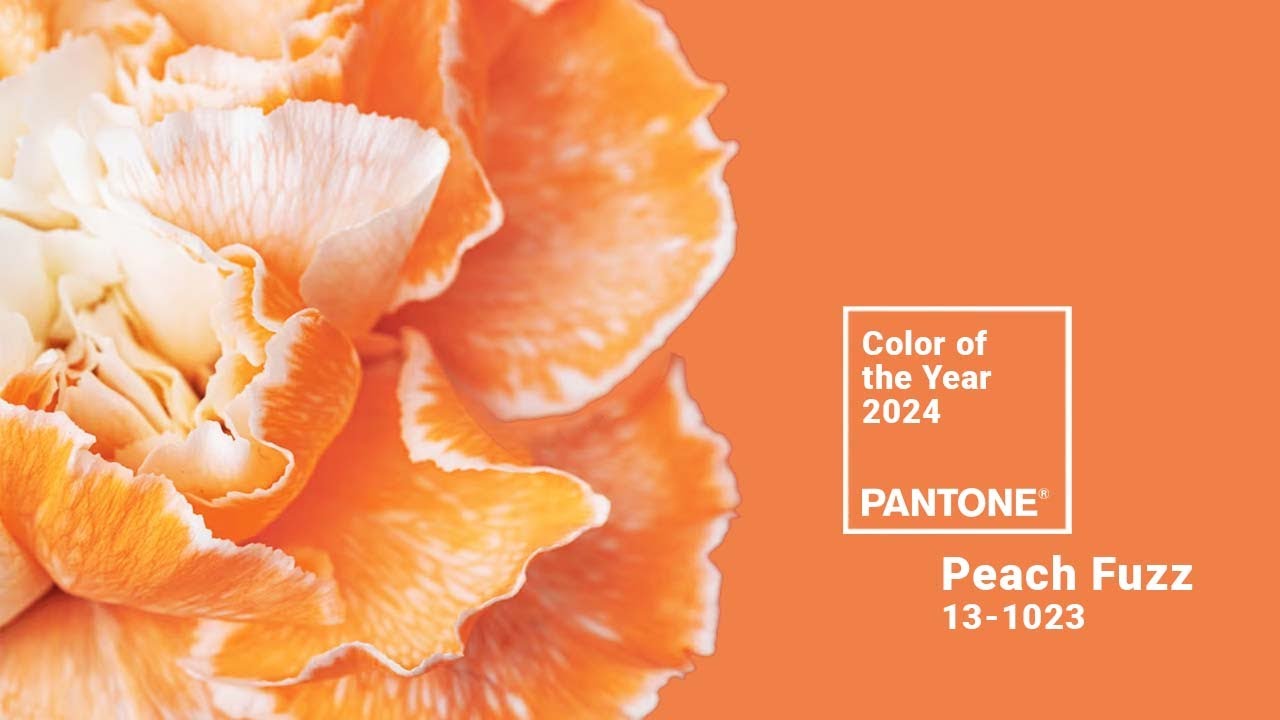 Pantone Color of the Year 2024: Peach Fuzz #peachfuzz #pantone # ...