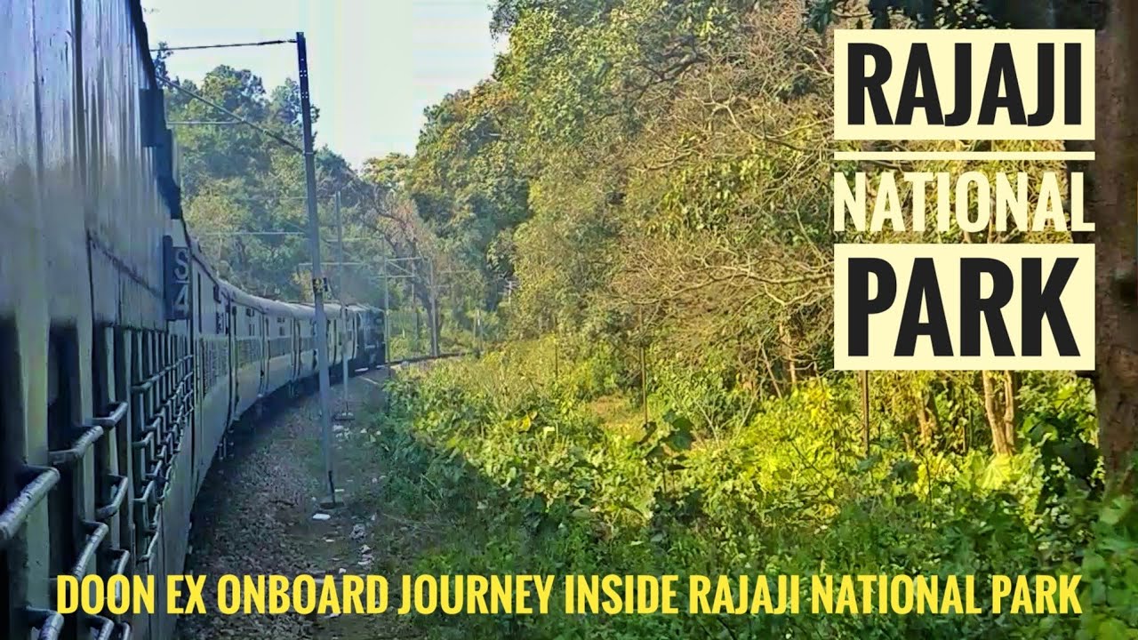 Inside Rajaji National park onboard train journey [4K] - YouTube