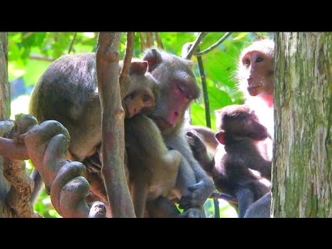 May Chen and her children are sleeping to get strength