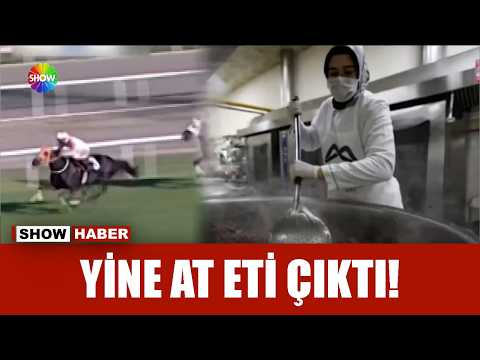 Sucuk ve kıymada yine at eti çıktı!