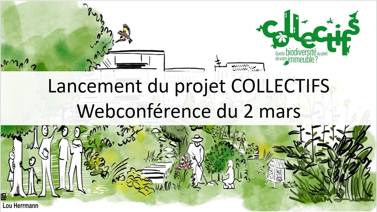 Présentation projet COLLECTIFS - YouTube