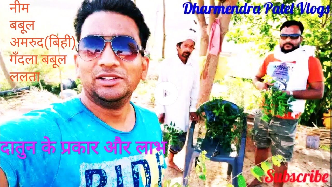 दातुन के प्रकार (नीम 🌿🌴,बबूल) और लाभ (Benefits and type of Datun Neem ...