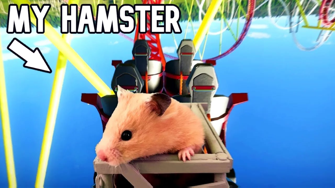 Hamster rides an epic ROLLER COASTER! 💥 - YouTube
