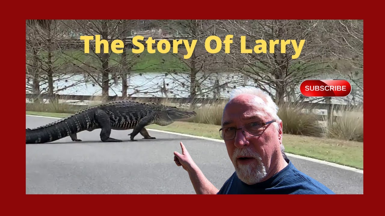 The Story Of Larry The Alligator from The Villages Florida and More ...