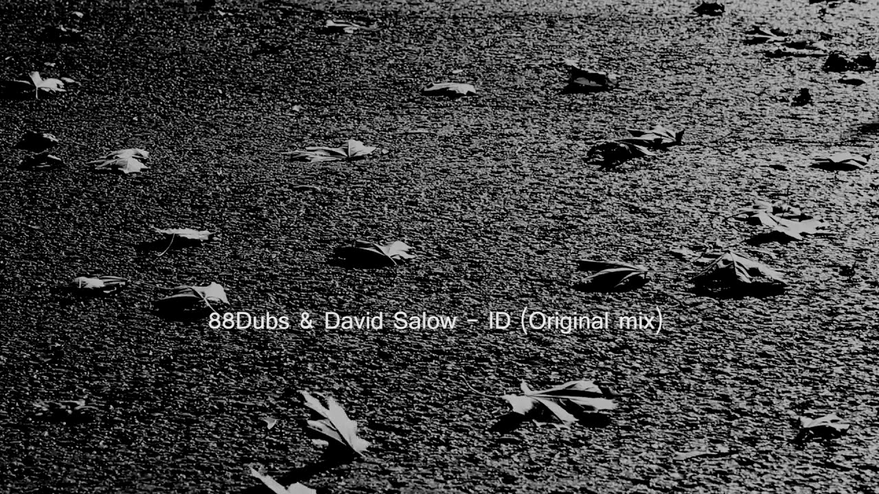 88Dubs & David Salow - ID (Original mix) - YouTube