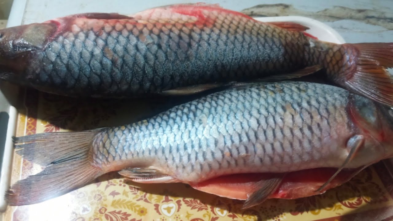 fish fry raho easy recipe - YouTube