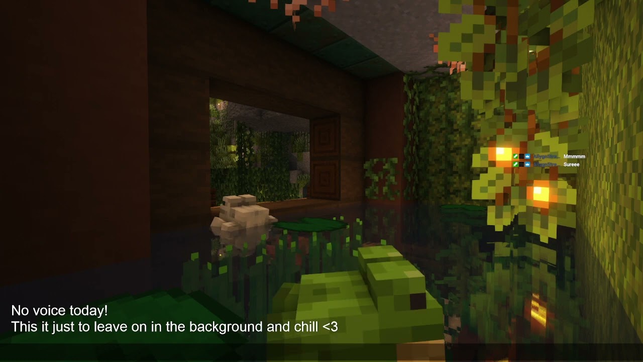 Minecraft Music with Ambient Frog Sounds to Sleep and Vibe To - YouTube