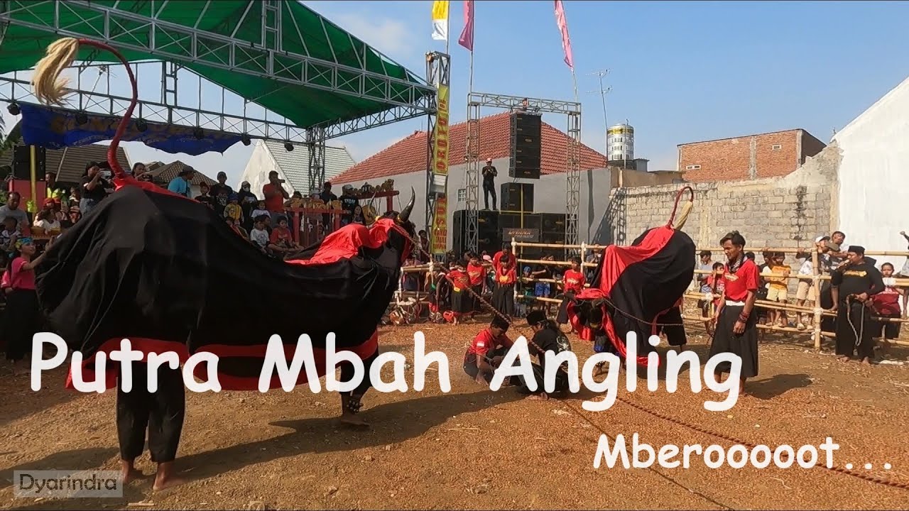 Full kalapan bareng Bantengan Putra Mbah Angling mberot - YouTube